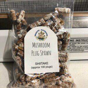 Shiitake Mushroom Plug Spawn 100x - FREE USA Shipping - Etsy