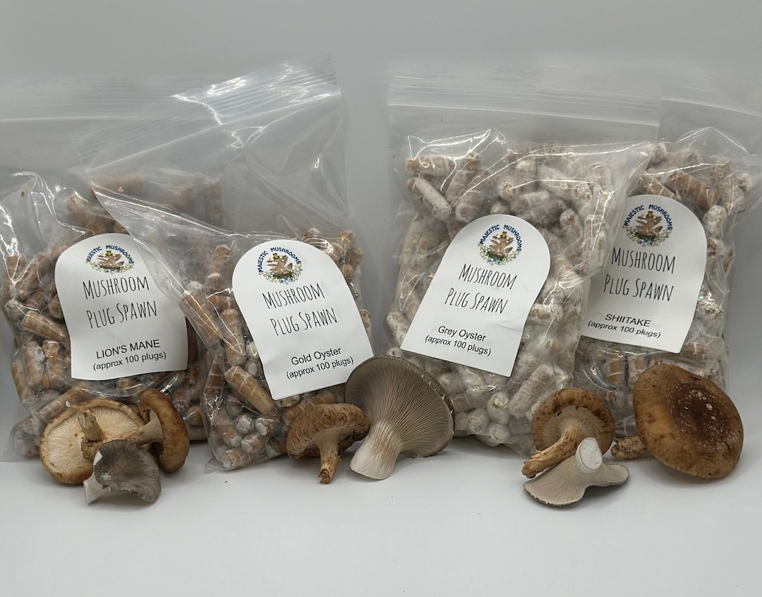 Variety Pack - Mushroom Plug Spawn 4: 100x - FREE USA Shipping - Etsy