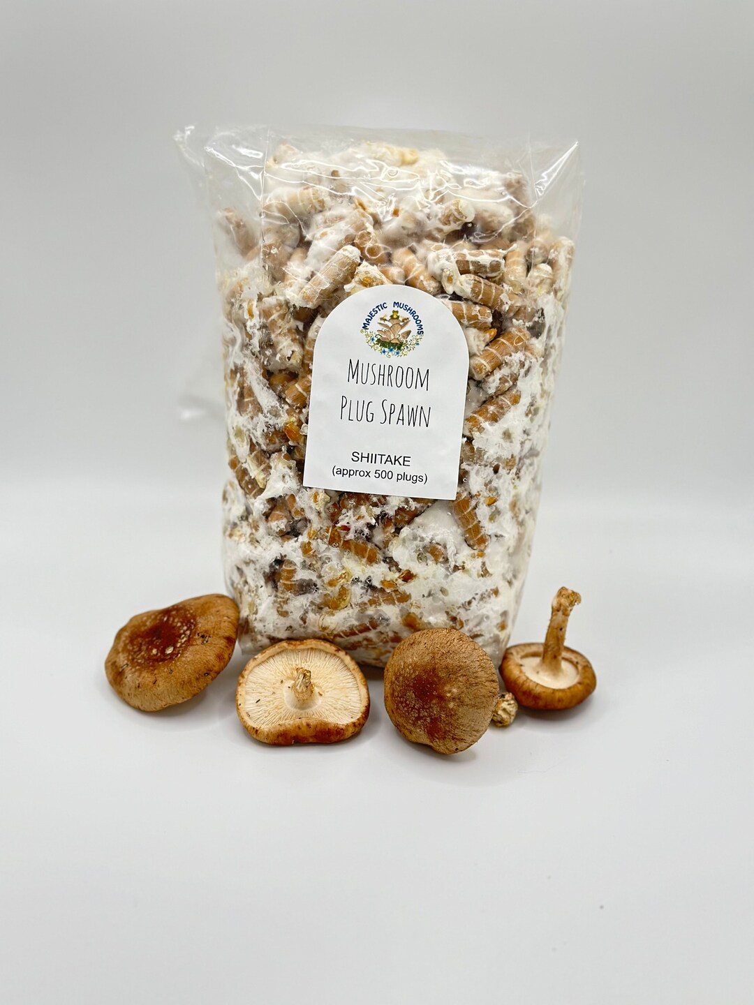 Shiitake Mushroom Plug Spawn 500x - FREE USA Shipping - Etsy