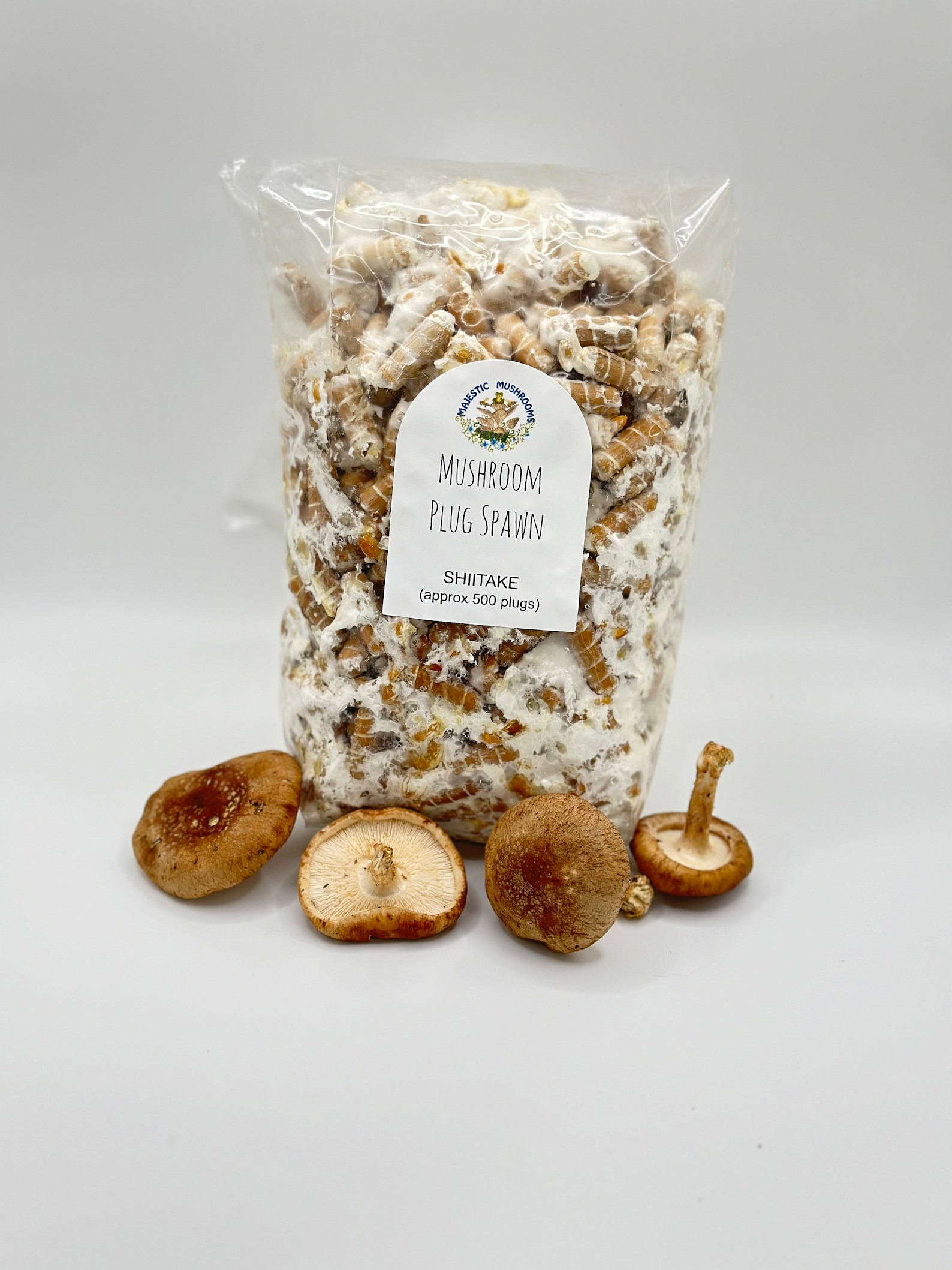 Shiitake Mushroom Plug Spawn 500x - FREE USA Shipping - Etsy