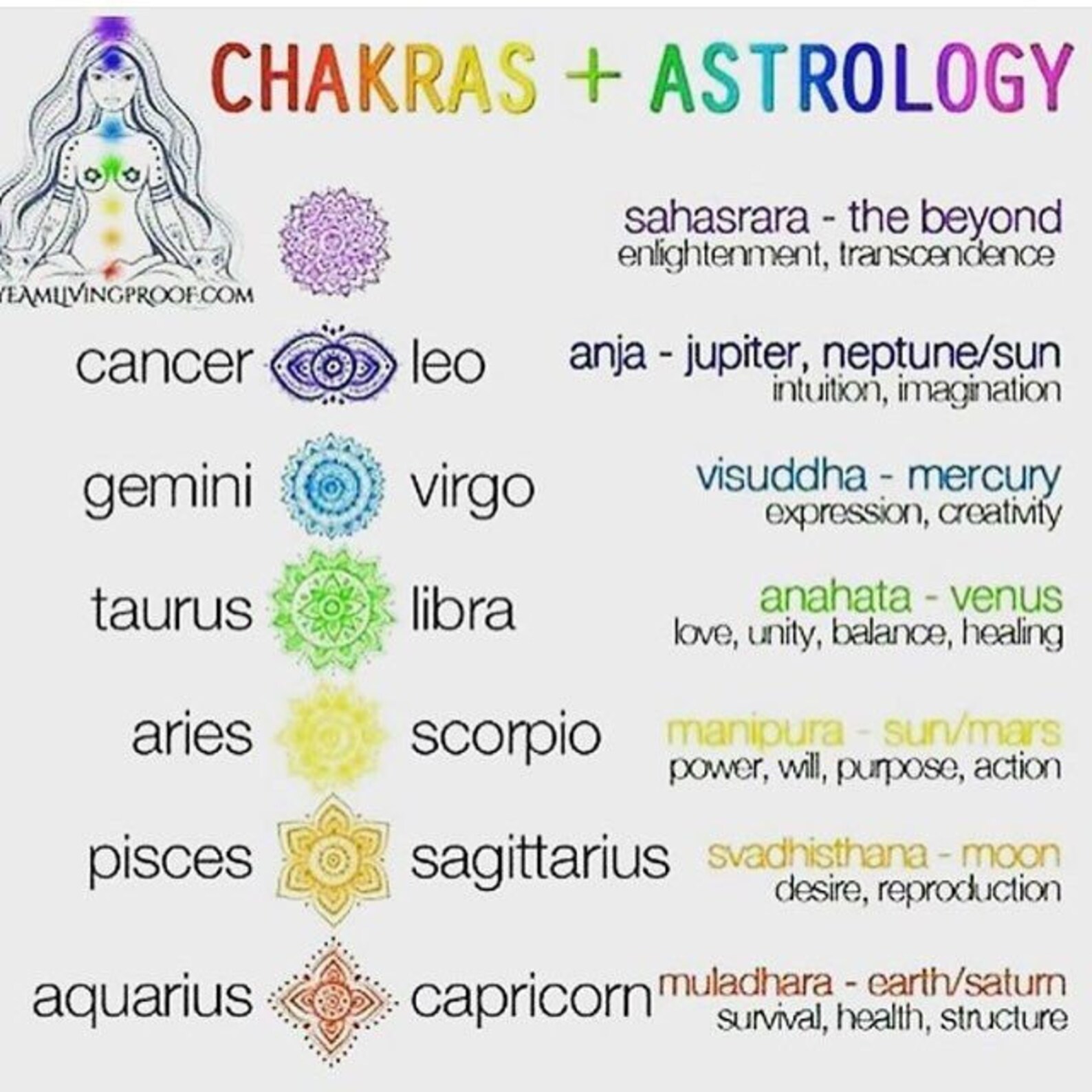 Chakra Healing Reading 99% Accurate Predictions Know How to Unblock ...