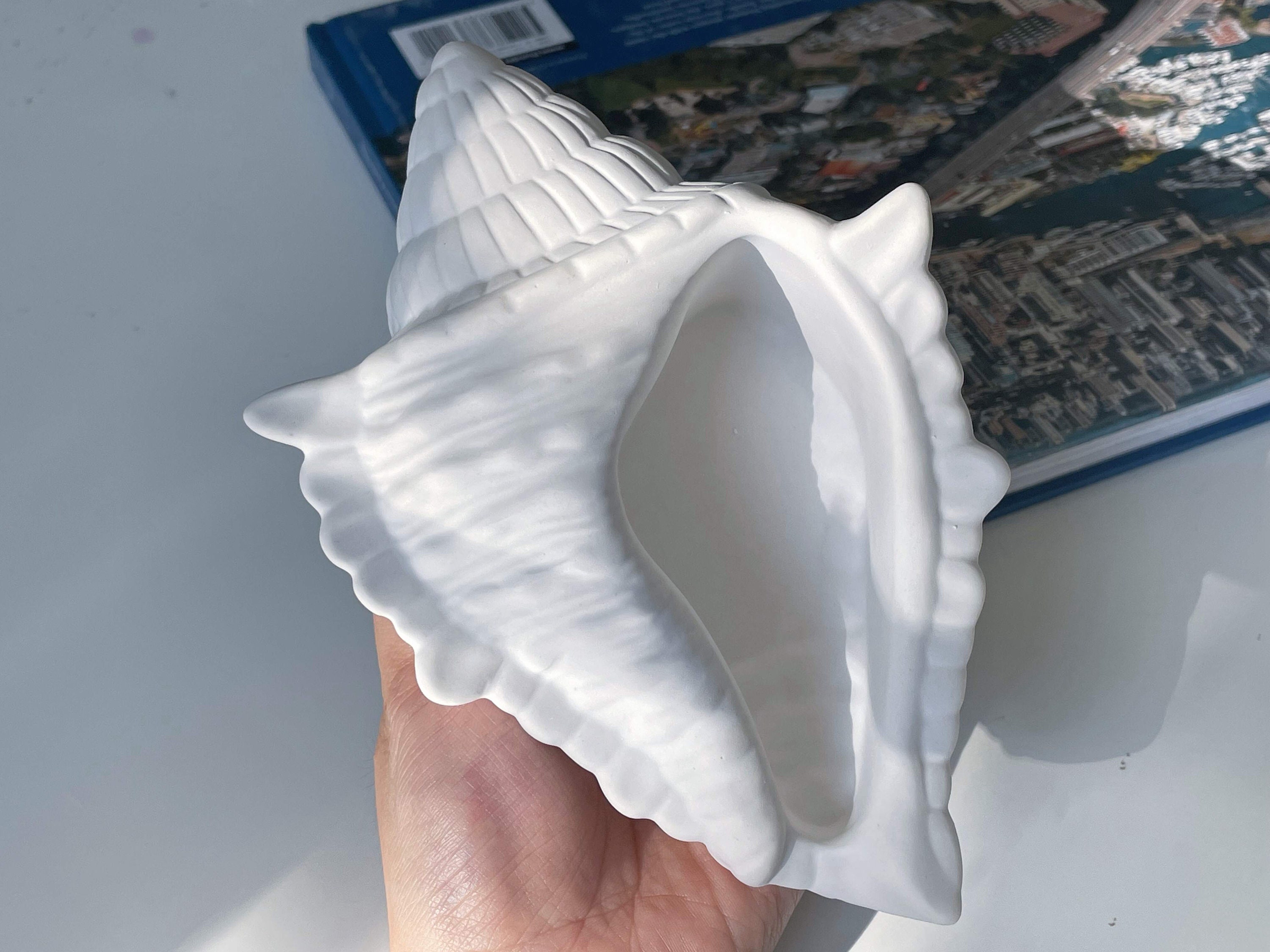 Concrete Conch Shell Tray-cement Shell Trinket Tray-beach - Etsy