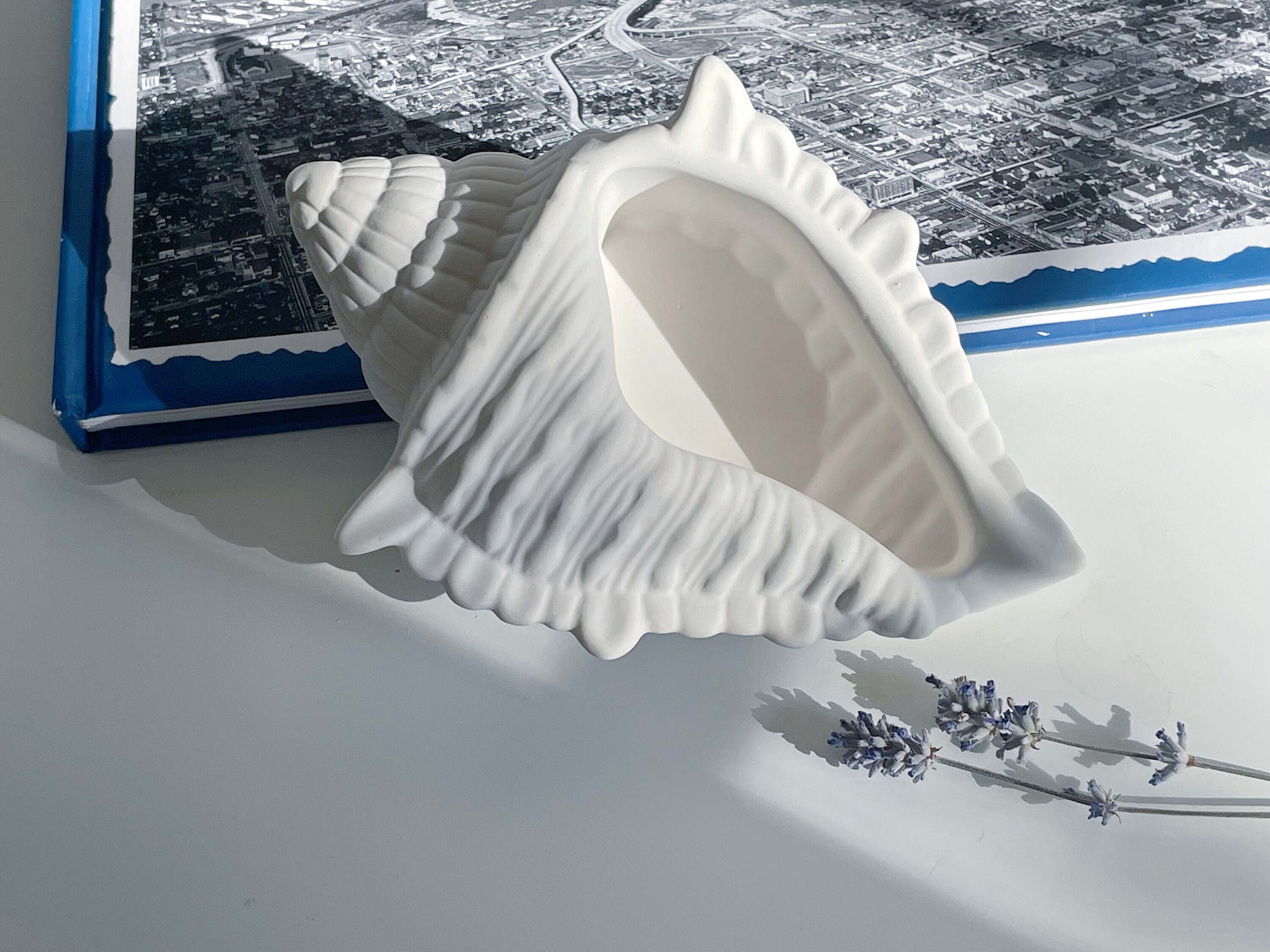 Concrete Conch Shell Tray-cement Shell Trinket Tray-beach - Etsy