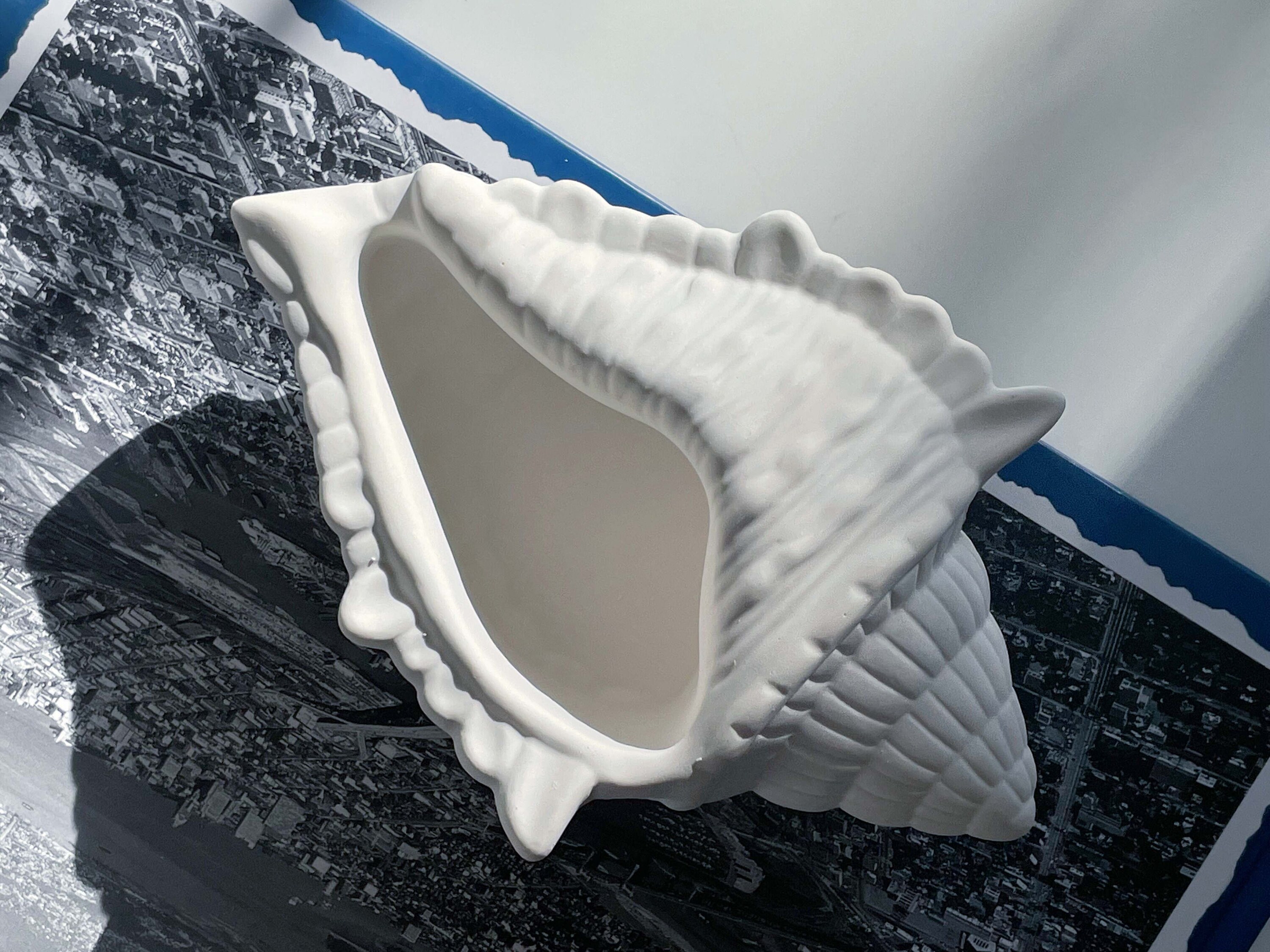 Concrete Conch Shell Tray-cement Shell Trinket Tray-beach - Etsy