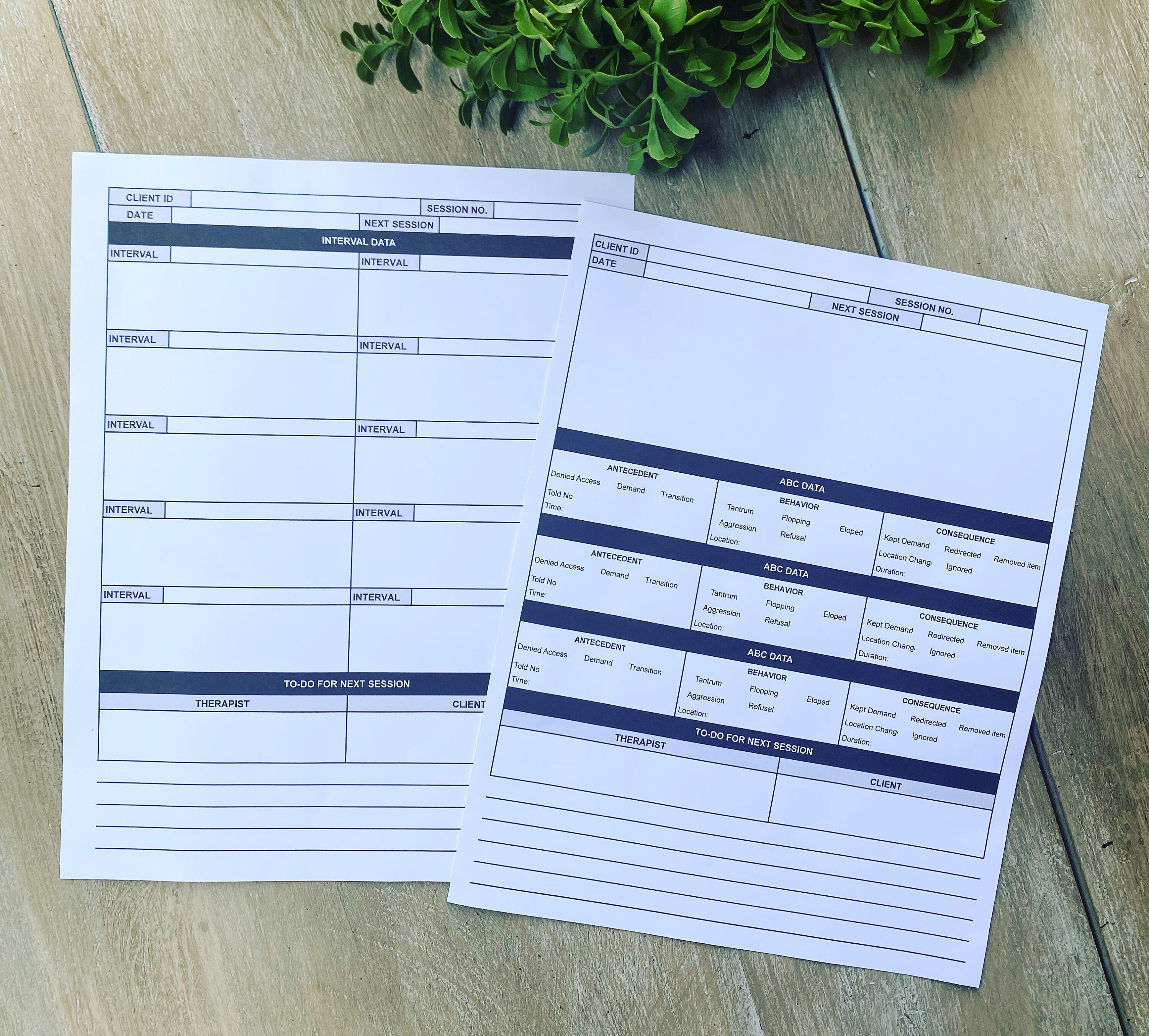 ABA Data Session Notes ABC Data Interval Data Therapy - Etsy