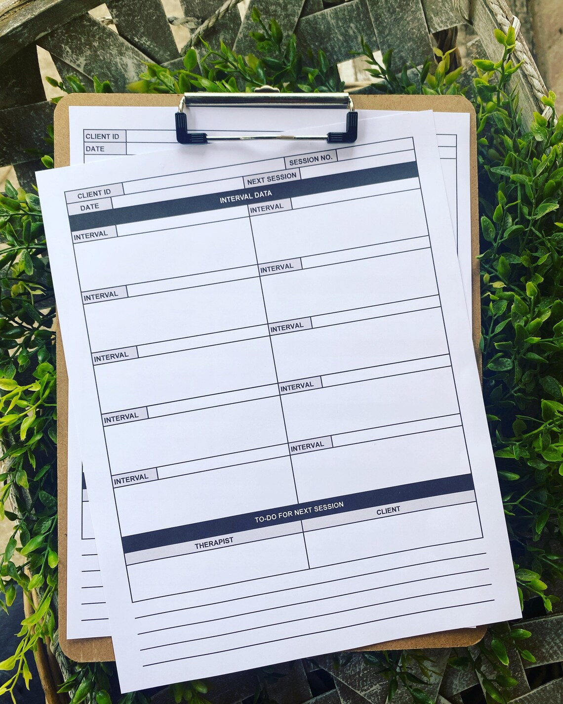 ABA Data Session Notes ABC Data Interval Data Therapy - Etsy