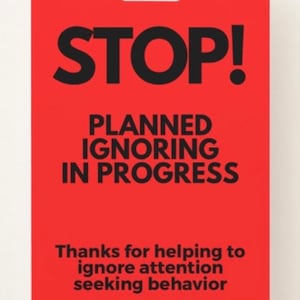 Behavior Support Badge Cards, Communication Cards, Special Education ...