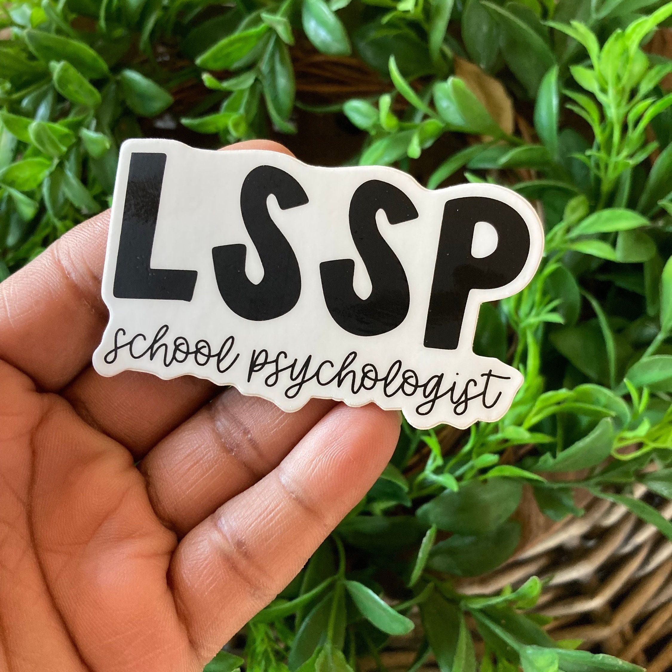 SPED Teacher Stickers, Paraprofessional Decal, Speech Language ...