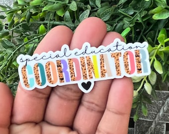 Regulation Before Expectation Sticker Special Education Teacher Sticker ...