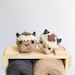 Appa Keychain Crochet PDF Pattern - Etsy