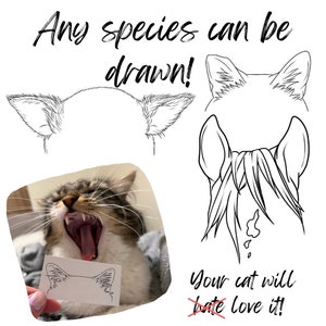 Custom Drawn Pet Ear Portrait Digital File Only Dog Cat - Etsy