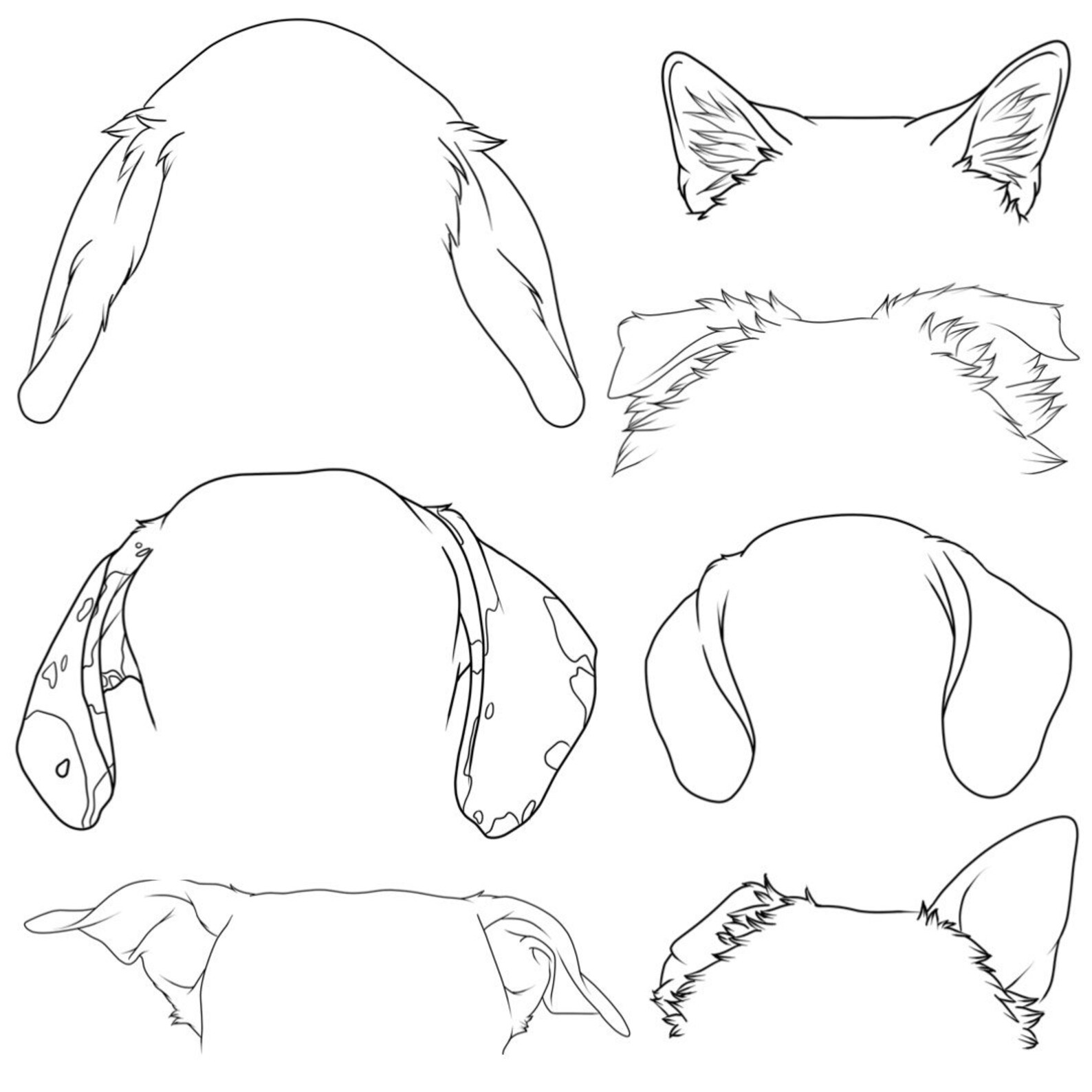 Custom Drawn Pet Ear Portrait Digital File Only Dog Cat - Etsy