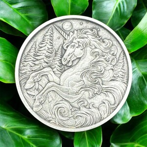Engraved Unicorn Coin: Custom Animal Lover Gift, 40mm Crown Coin - Etsy