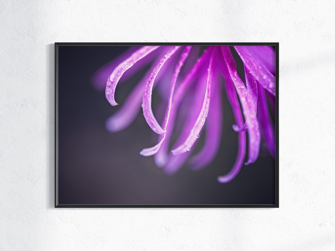 Abstract Flower Photography Print Wall Art - Etsy
