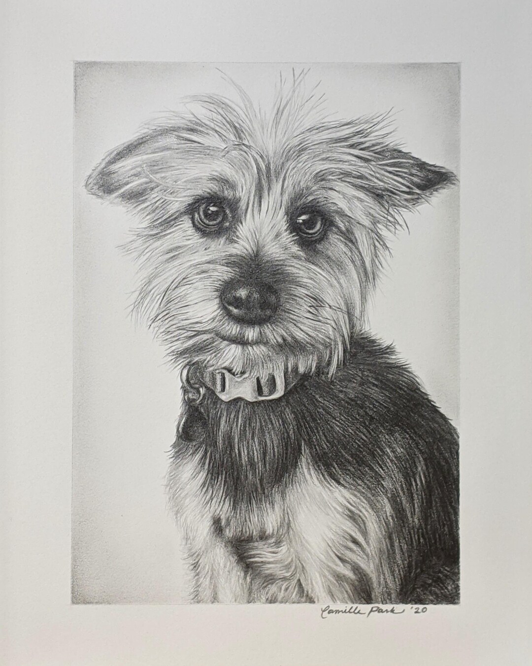 CUSTOM ORDER - Original Graphite Pet Portrait - Etsy
