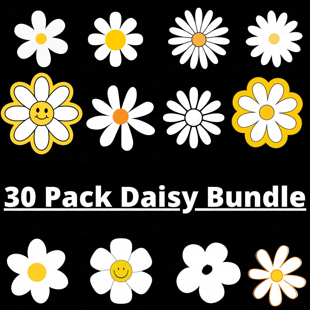 Daisy PNG Plant Flowers Retro Floral Vintage Daisys Groovy Bundle SVG ...