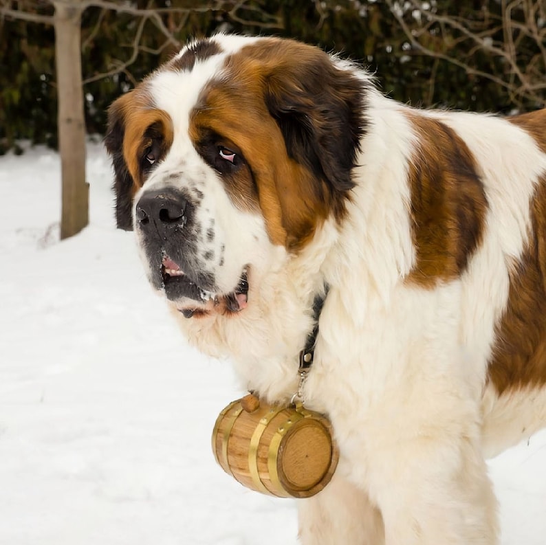 St Bernard Brandy Barrel. (pet Dog Gift Necklace) - Etsy