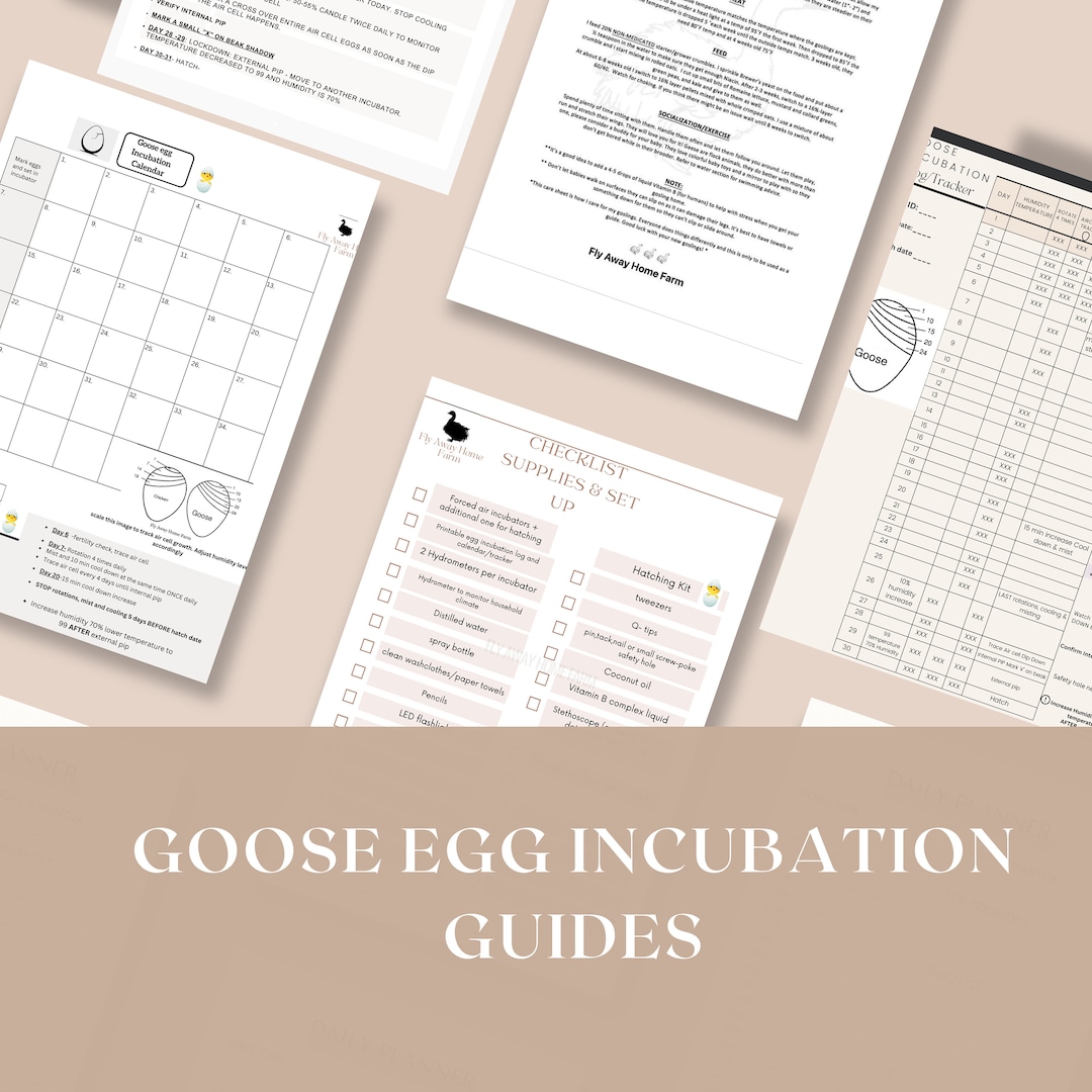 Goose Egg Incubation Guide: Calendar, Log, Humidity Tracker (digital ...
