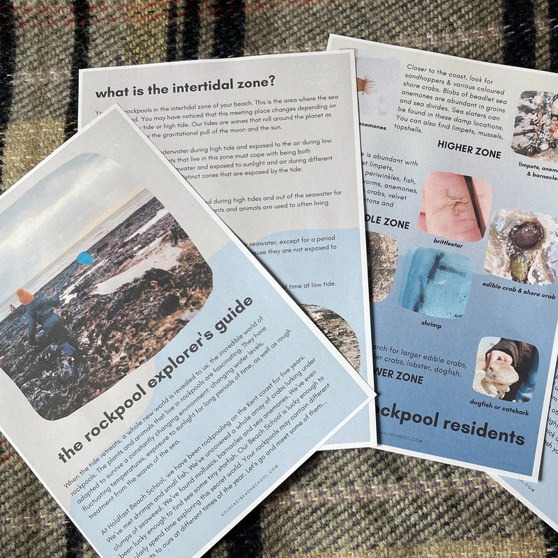 Tidepools - Etsy