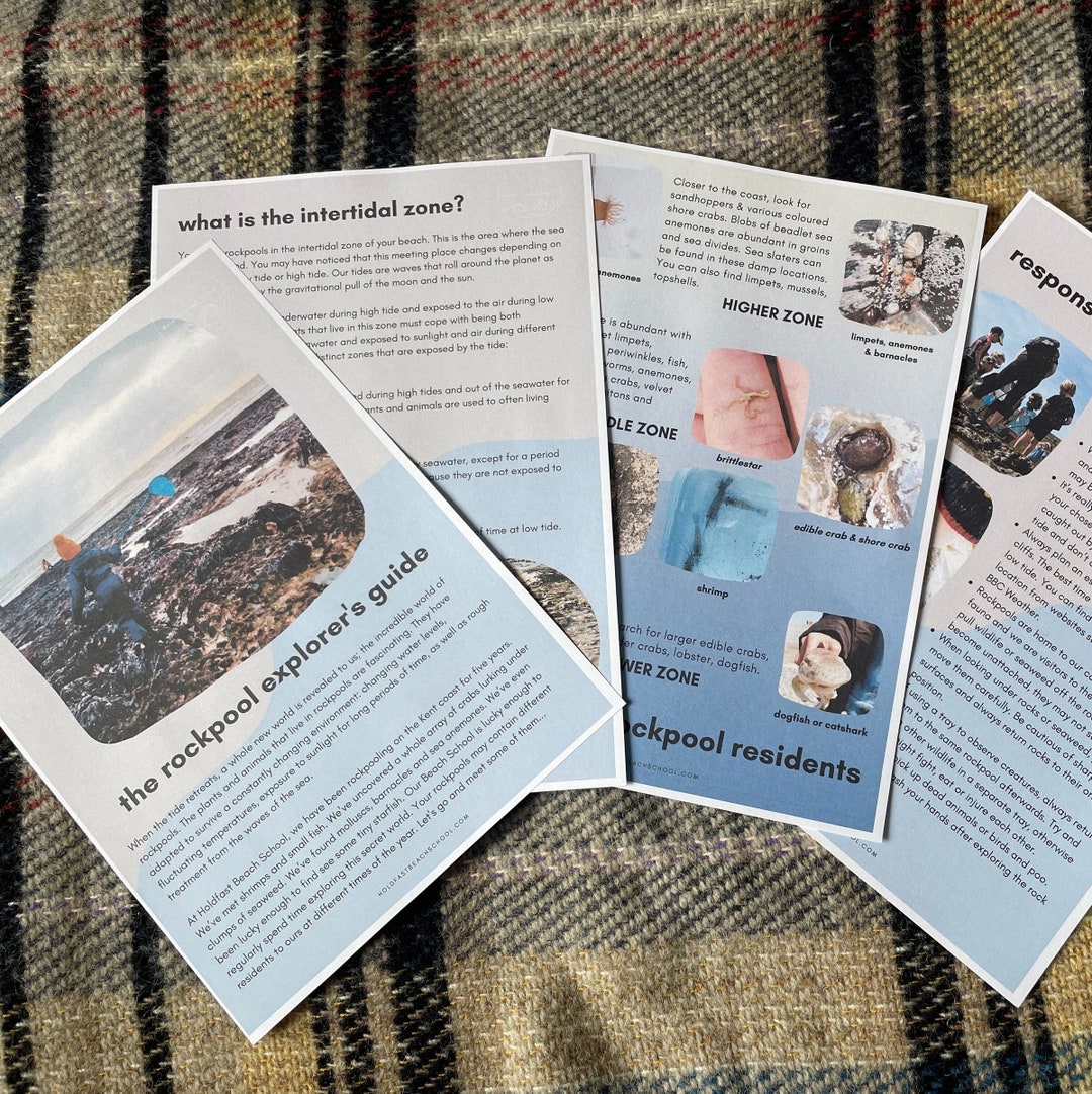 The Rockpool Explorer's Guide - A4 Printable Beach Identification ...