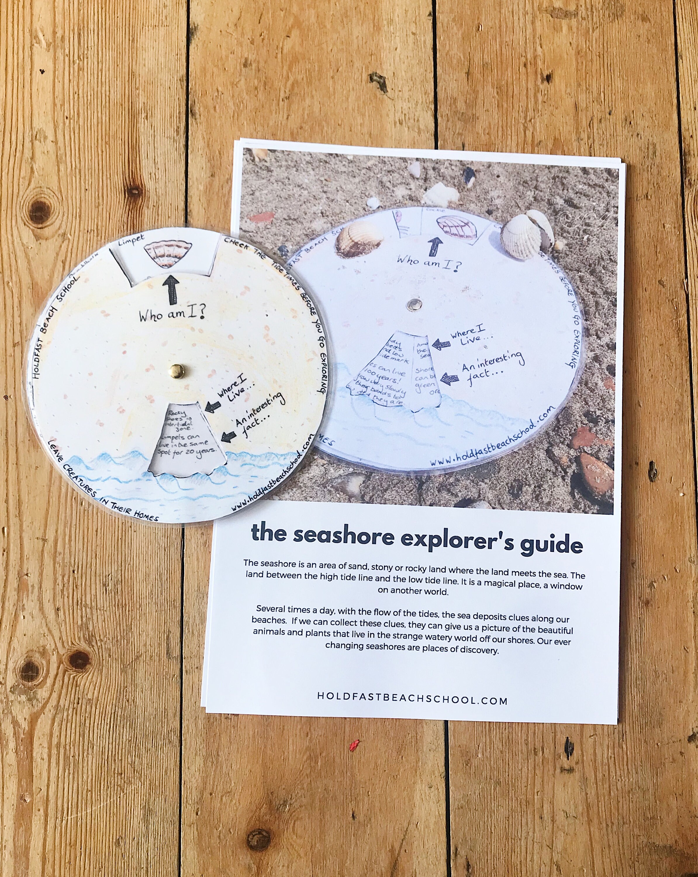 The Seashore Explorer's Guide - A4 Printable Beach Identification ...