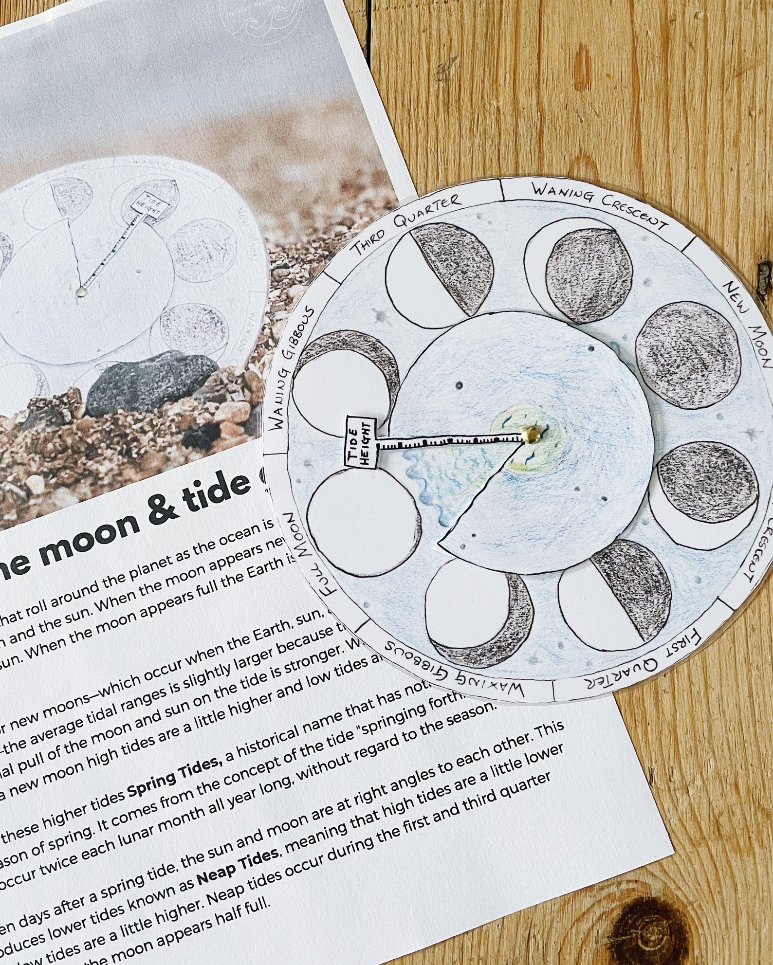 The Moon and Tide Guide - A4 Printable Lunar Phase Spring Neap Tide ...