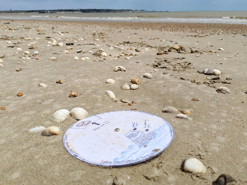 The Seashore Explorer's Guide - A4 Printable Beach Identification ...
