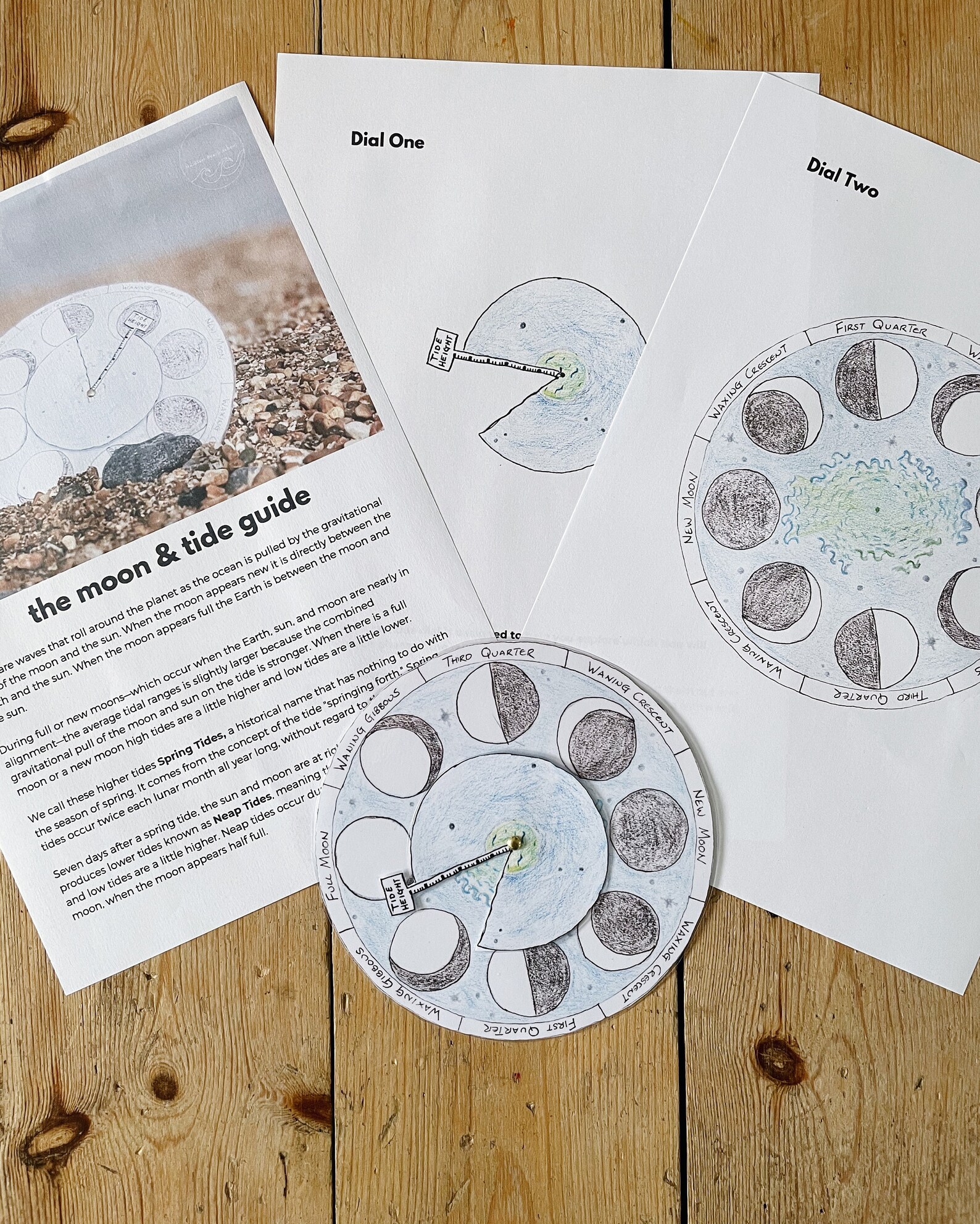 The Moon and Tide Guide - A4 Printable Lunar Phase Spring Neap Tide ...
