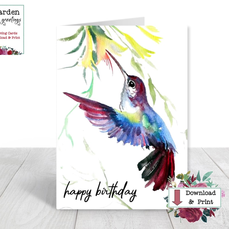 Hummingbird Birthday Card - Etsy