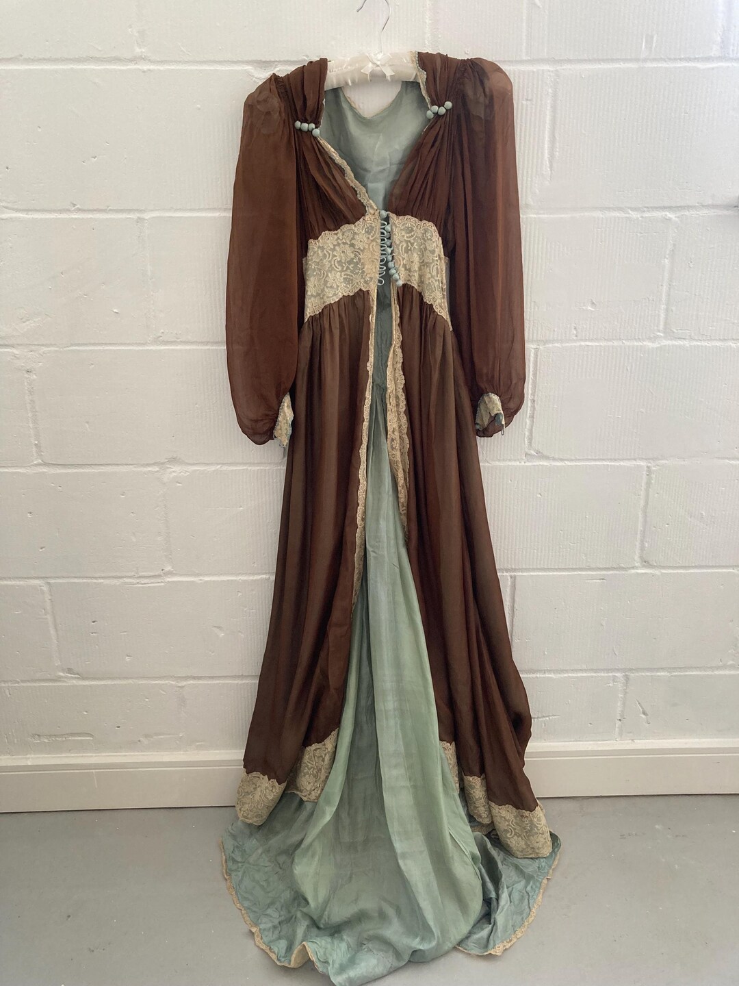RARE Antique Edwardian Silk Chiffon Robe Balloon Sleeves Champagne ...