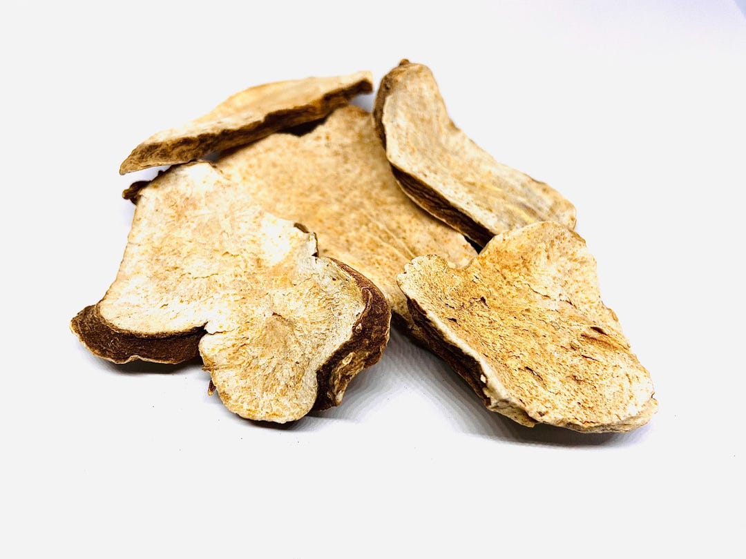 Jiangxi Atractylodes Macrocephala (bai Zhu) 100g - Etsy