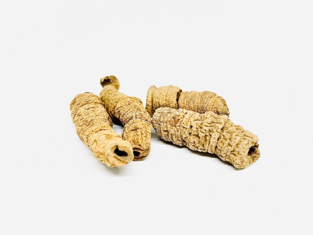 Morindae Officinalis (ba Ji Tian) 100g - Etsy