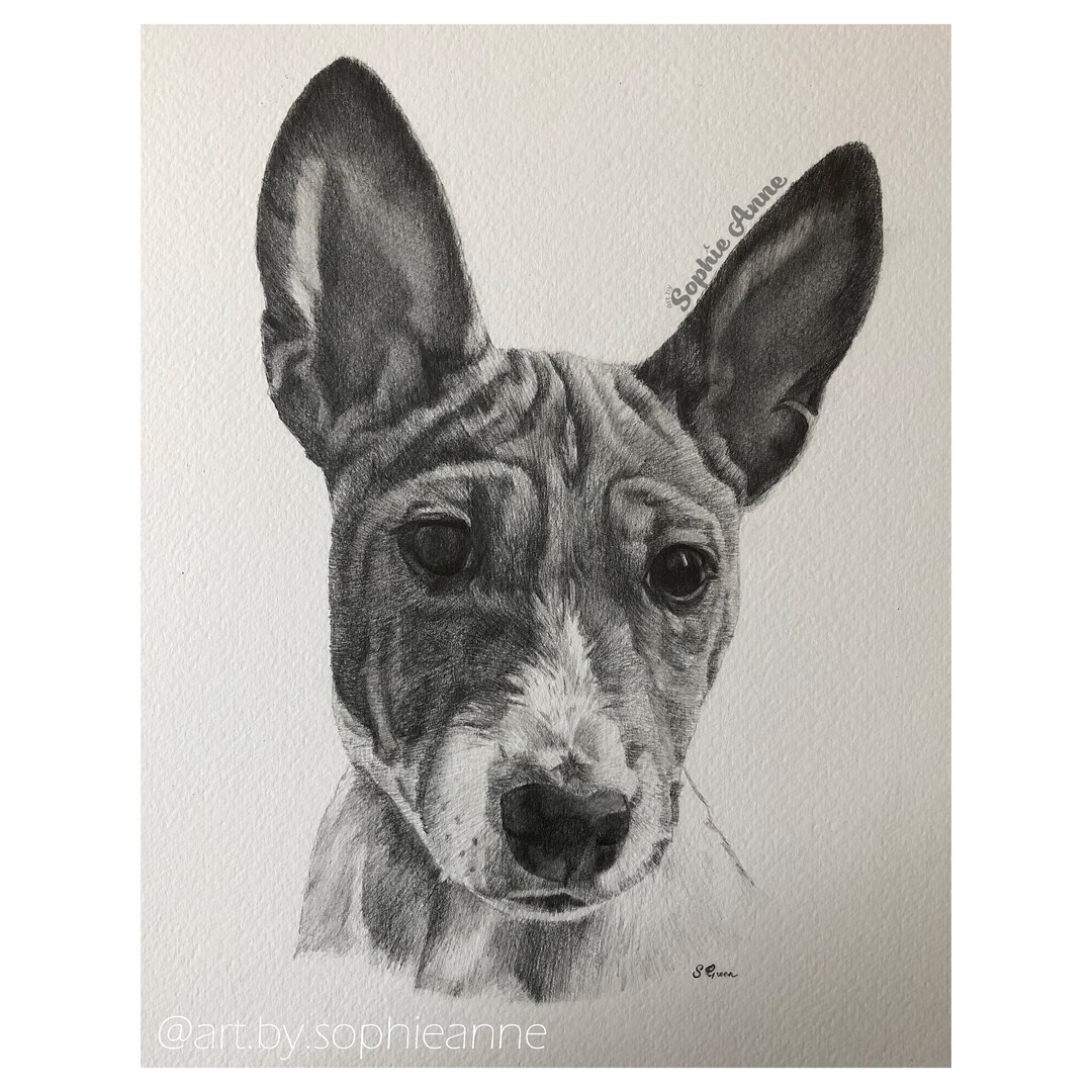 Custom Pet Portrait Hand Drawn Graphite Dog Portrait Cat Portrait ...