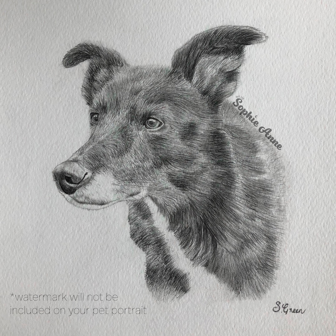 Custom Pet Portrait Hand Drawn Graphite Dog Portrait - Etsy
