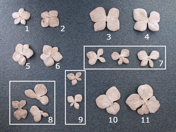 Sterling silver casting for making nature jewelry Silversmith | Etsy