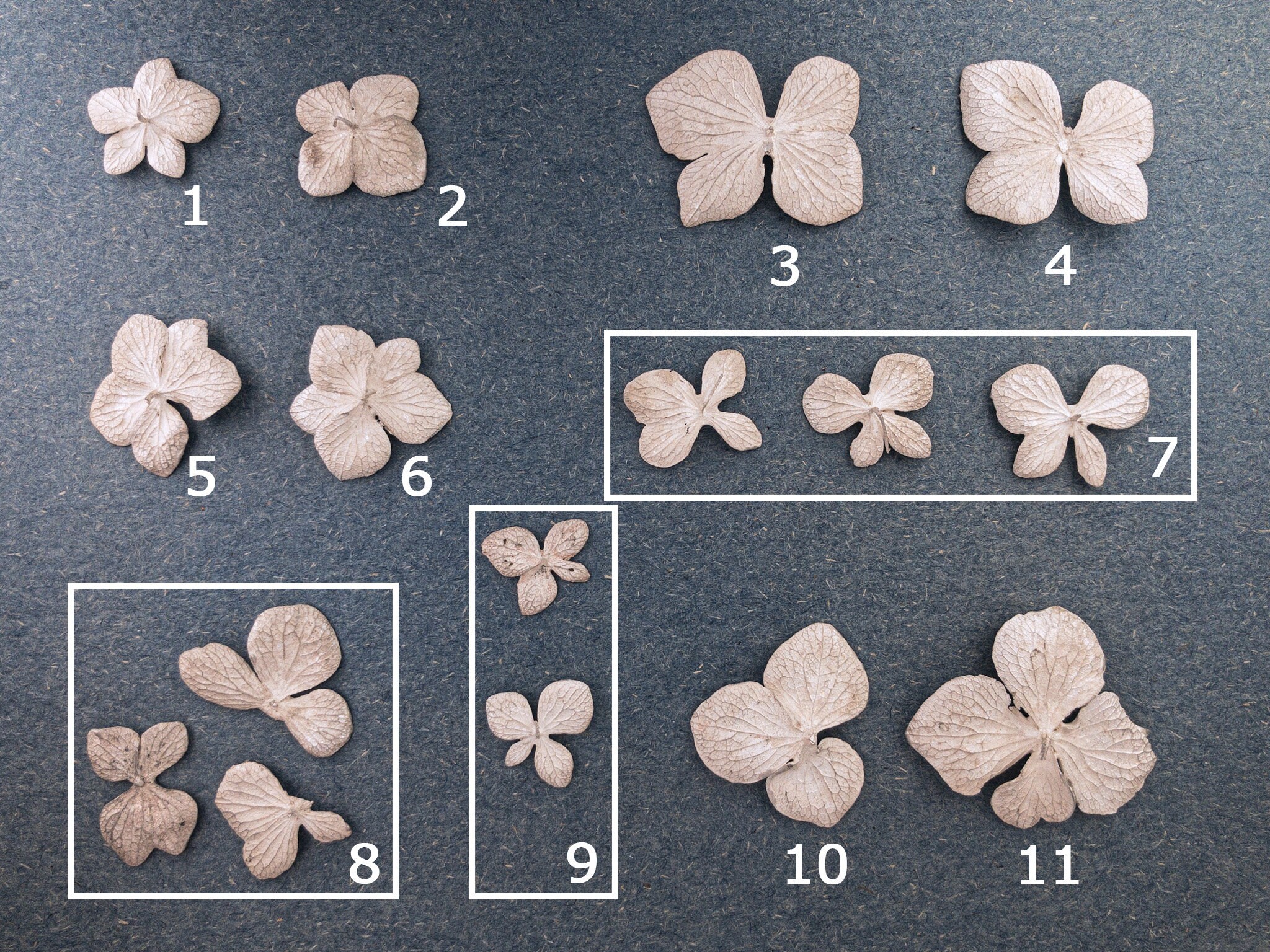 Sterling silver casting for making nature jewelry Silversmith | Etsy