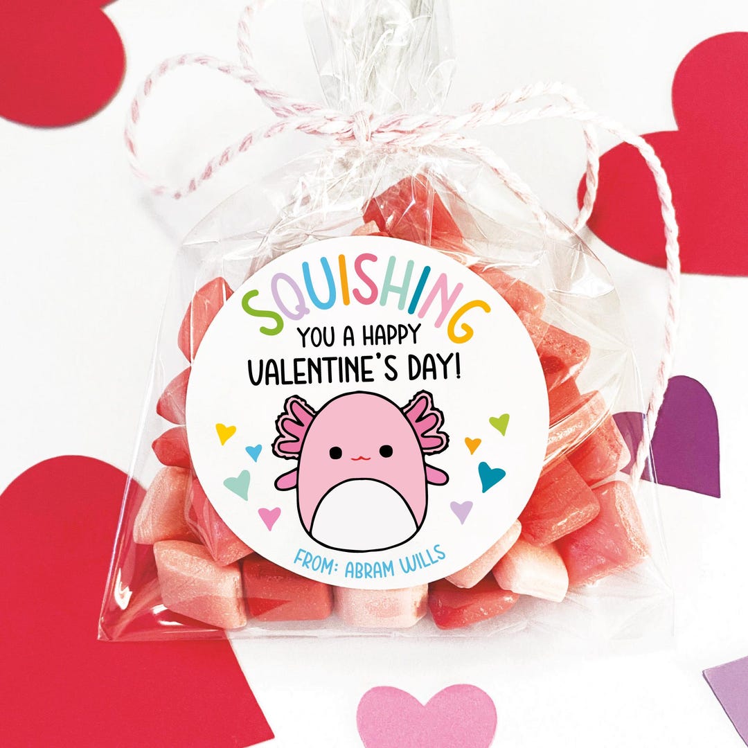 Squish Toy Valentine Labels, Preschool Classroom Valentines Day ...