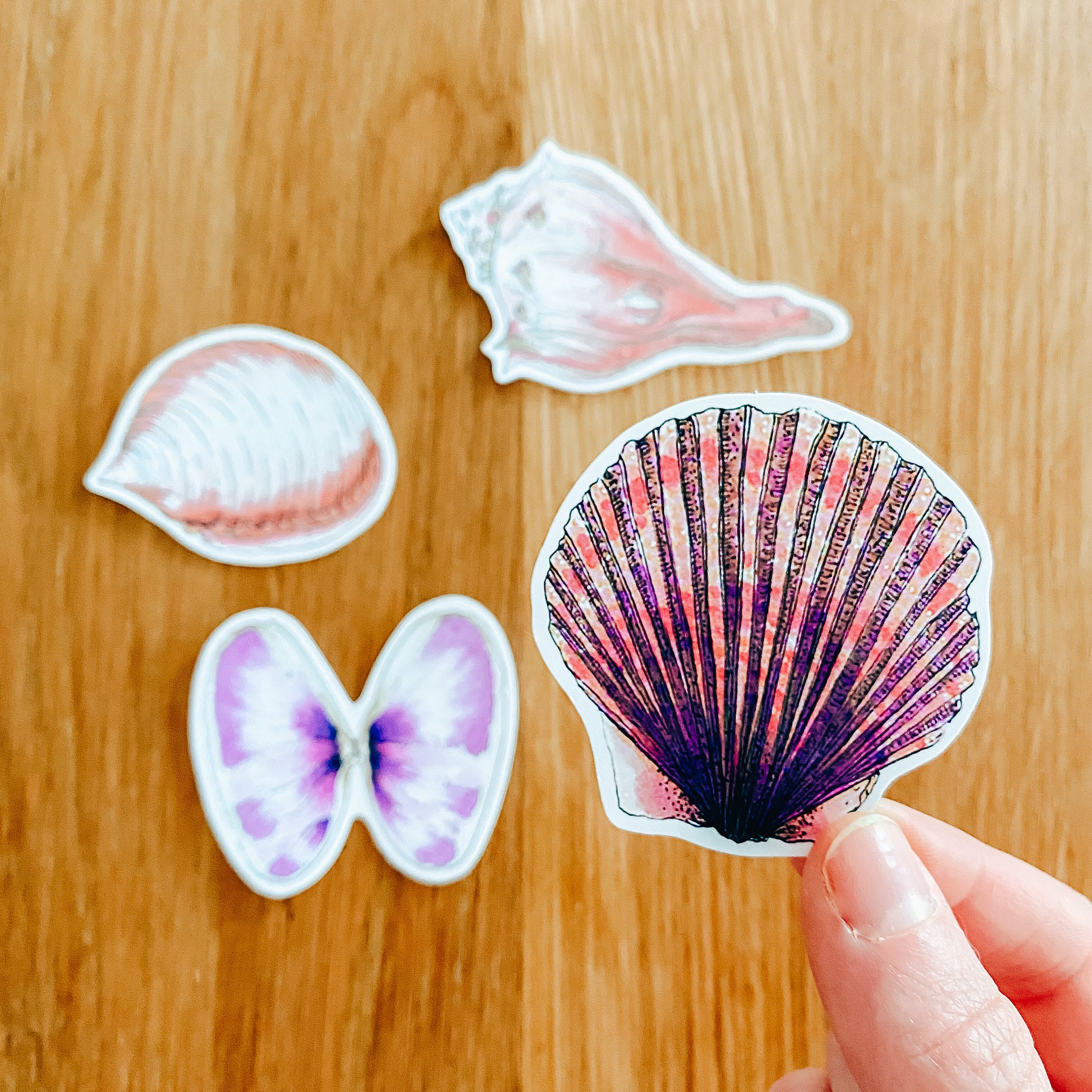 Seashell Sticker set Seashell art Vinyl sticker Hand | Etsy