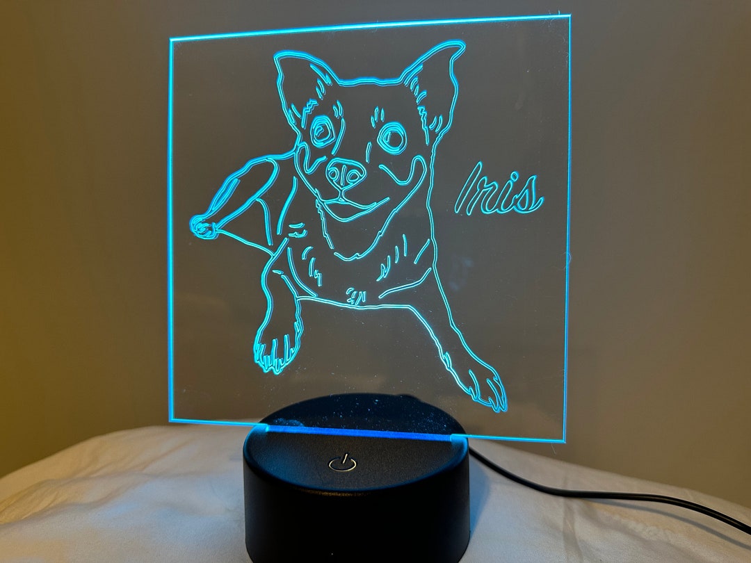 Custom LED Lamp - Have Your Own Logo, Pet Photo Memorial, Etc. Made ...