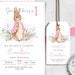 Peter Rabbit Birthday Invitation Template, Pink 1st, Any Age Peter ...