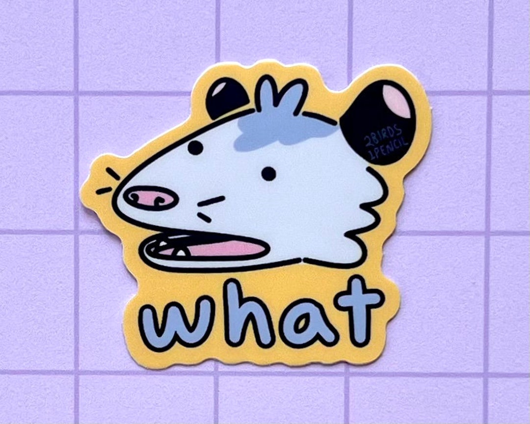 MINI Confused Possum Vinyl Sticker - Etsy
