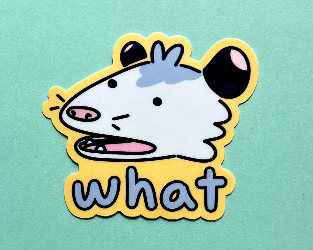Confused Possum Vinyl Sticker - Etsy