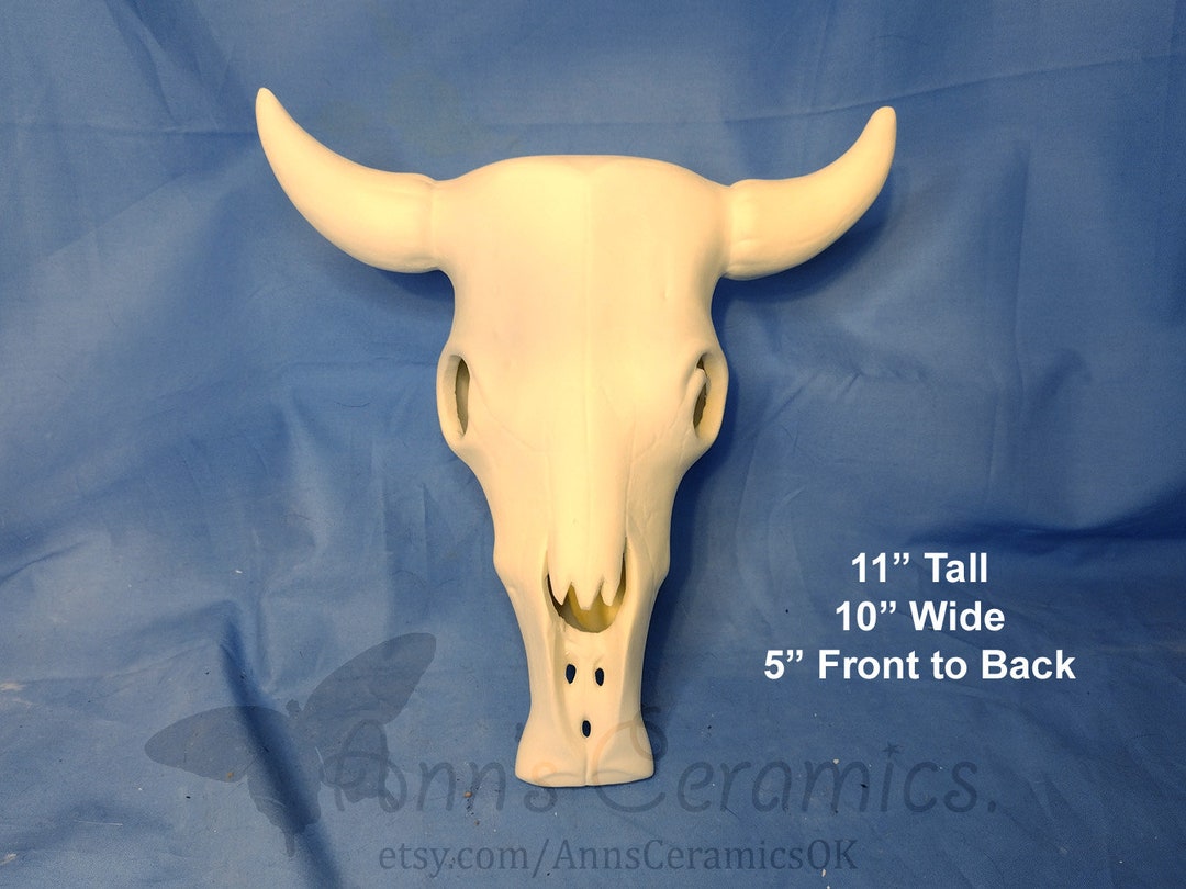 Medium Cow Skull - Paint Your Own Bisque - Made to Order - Etsy