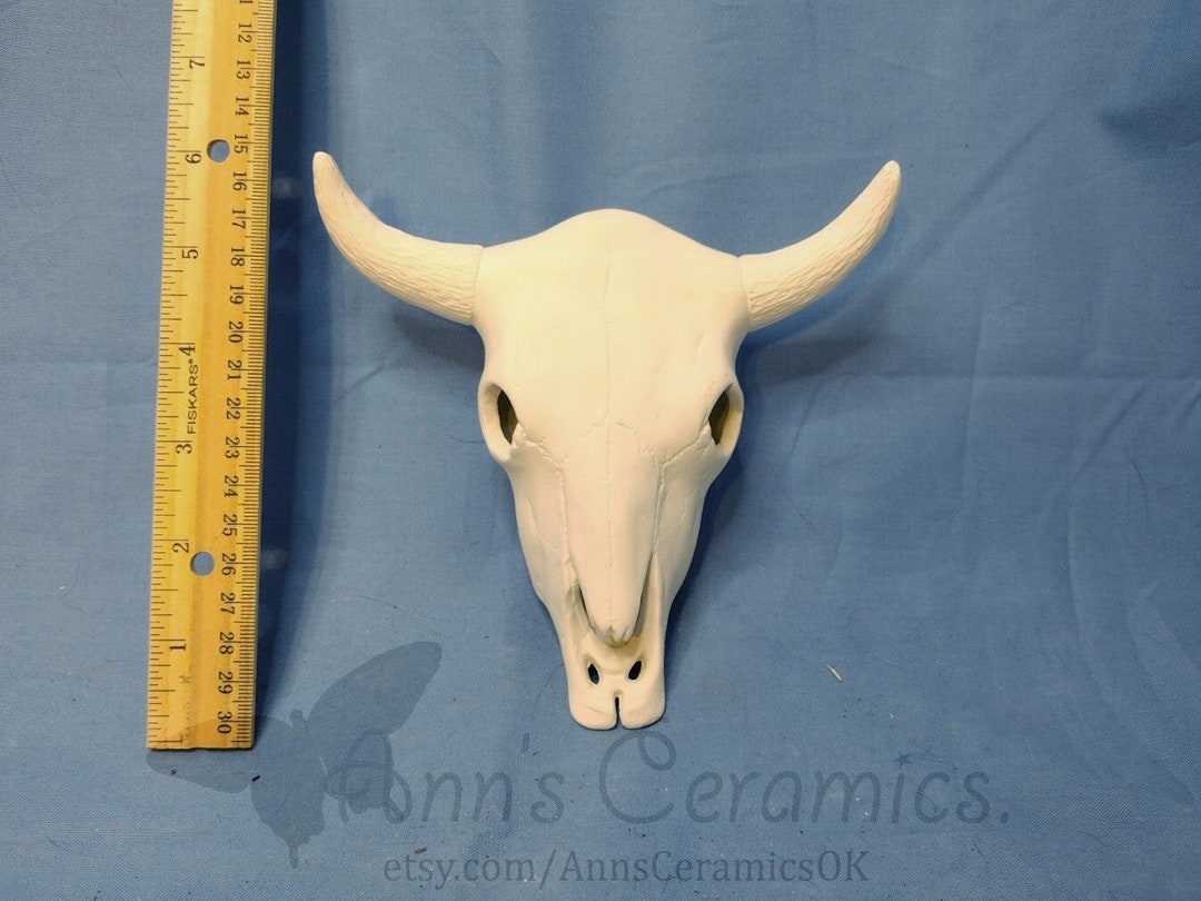 Cow Skull - Paint Your Own Bisque - Made to Order - Etsy