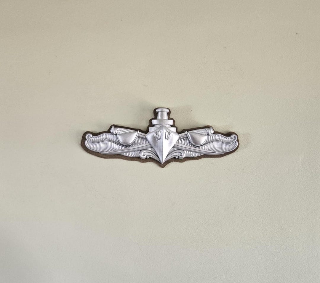 Navy Enlisted Surface Warfare (ESWS) Insignia Wall Plaque - 16" Epoxy ...