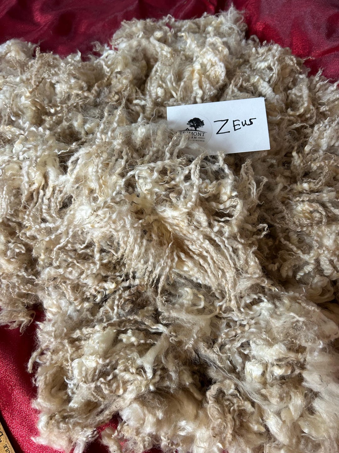 Cotswold Lamb Fleece, Raw Curly Locks 1lbs 3oz Sheep Wool - Etsy