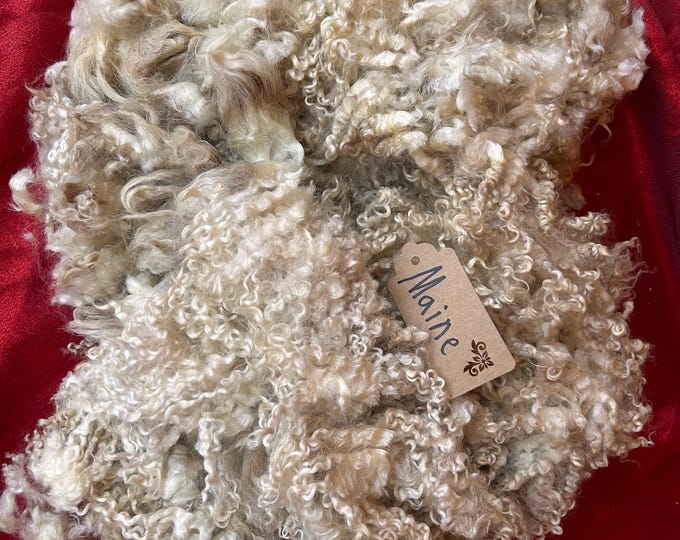 Cotswold Lamb Fleece (maine), Raw Curly Locks 1.5lb Sheep Wool - Etsy