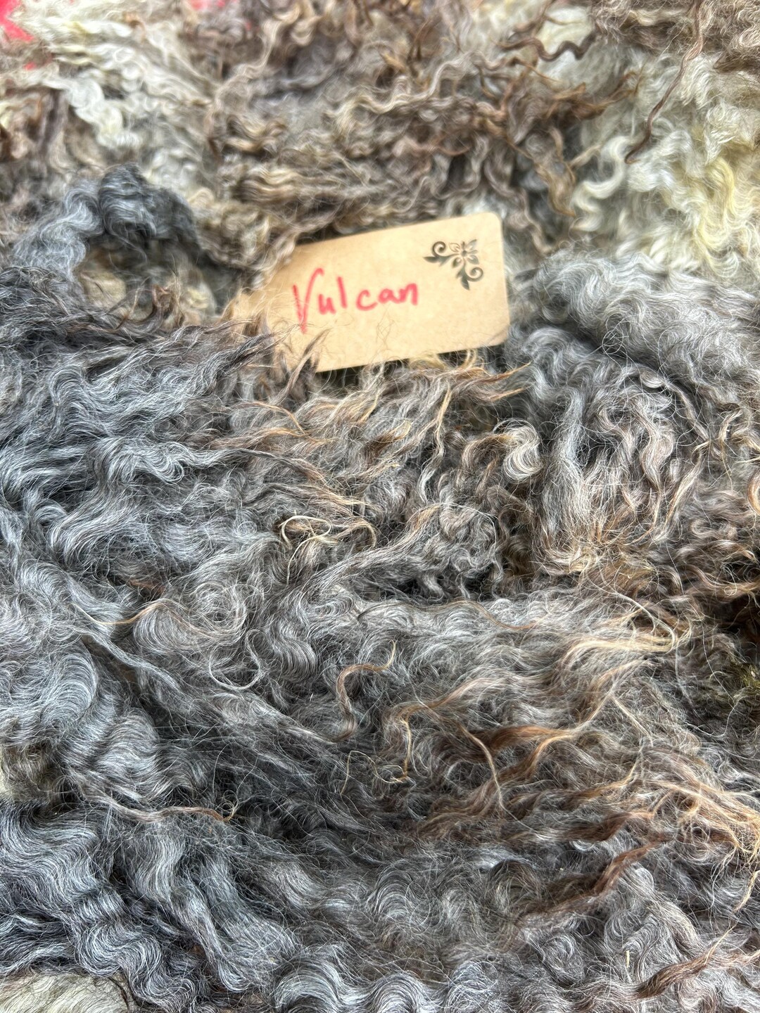 Cotswold Fleece (vulcan), Raw Curly Locks 4lbs 8oz Sheep Wool Black ...