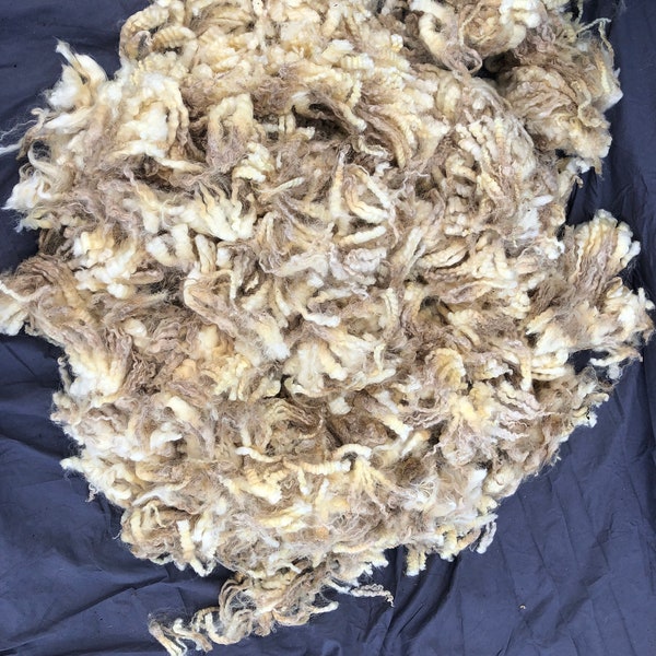 Raw Wool - Etsy
