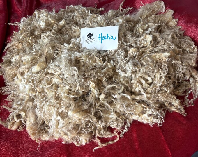 Cotswold Lamb Fleece, Raw Curly Locks 1lbs 14oz Sheep Wool - Etsy